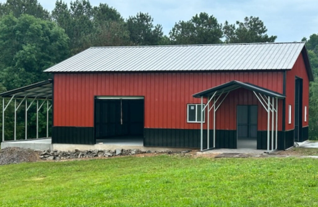 Top 5 Ways To Avoid Nesting Birds In Your Metal Building – Lion Buildings