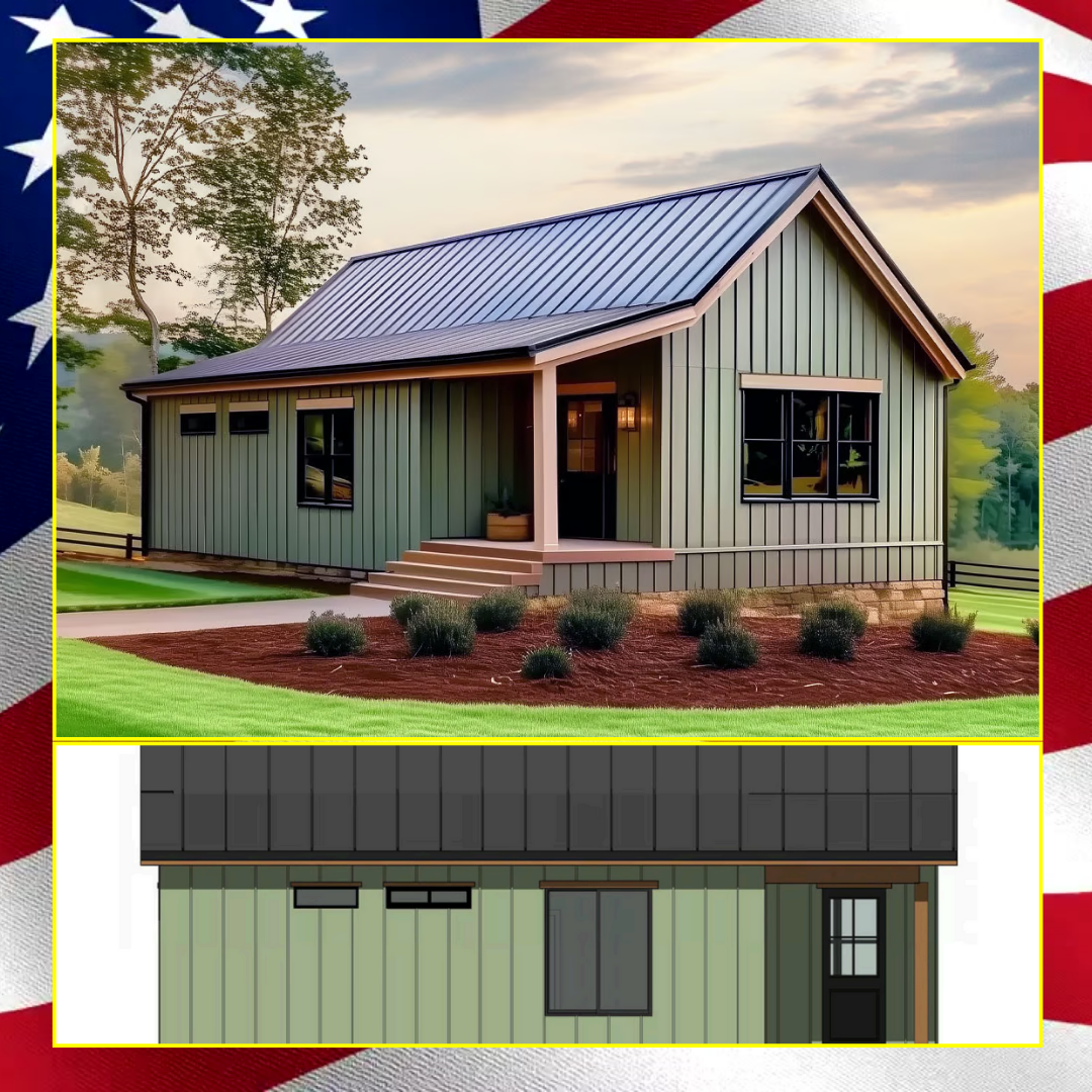 Presidents Day sale 27X35X10 SMALL BARNDO SHELL – Lion Buildings