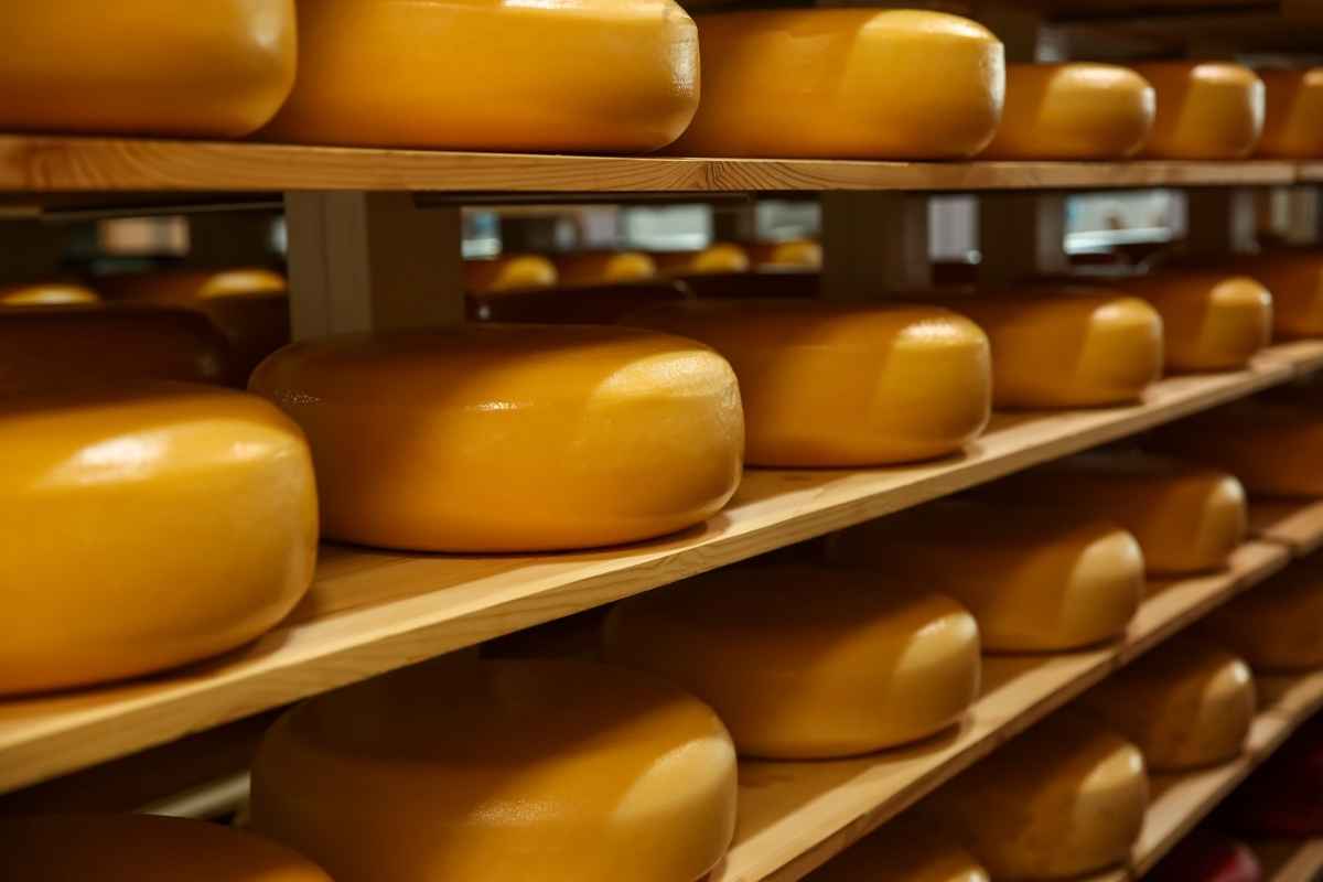 Steel Barns for Cheese Aging and Storage – Lion Buildings